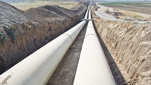 Applications - TALIS Group